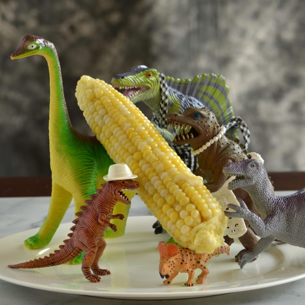 Coloring Book Pages – Cooking With Dinosaurs